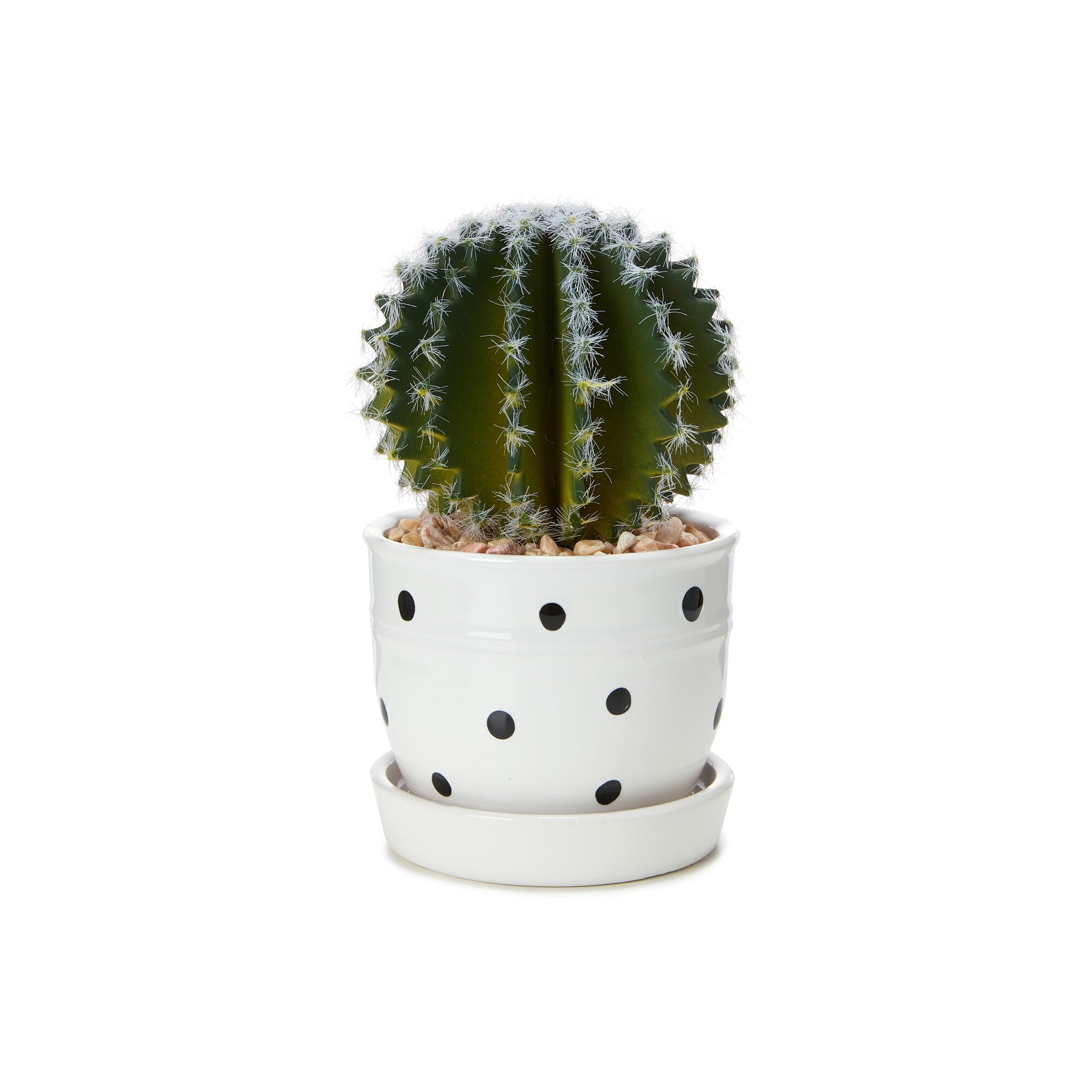 BOTI Nordic Decor Ornament, Small Potted Plants, Green Cactus Succulent Trend Based Products