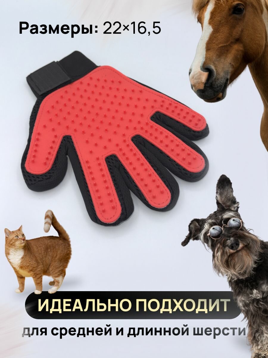 Перчатка расческа для вычесывания шерсти кошек и собак, цвет красный