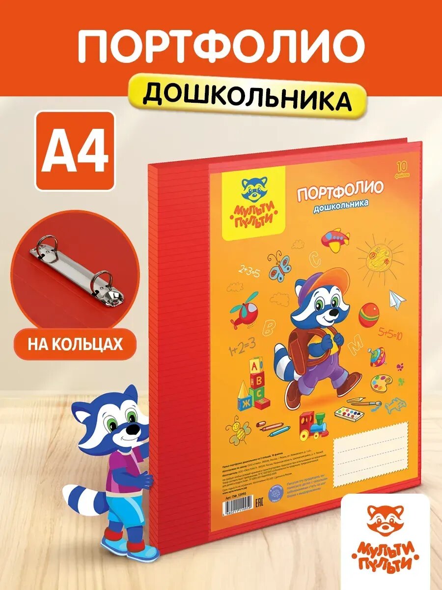 Папка-портфолио на кольцах А4 с файлами