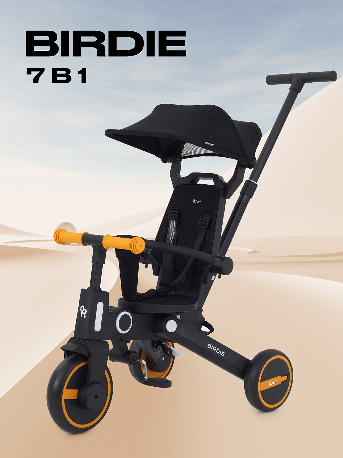 Детский складной трехколесный велосипед с родительской ручкой Rant Birdie Graphite