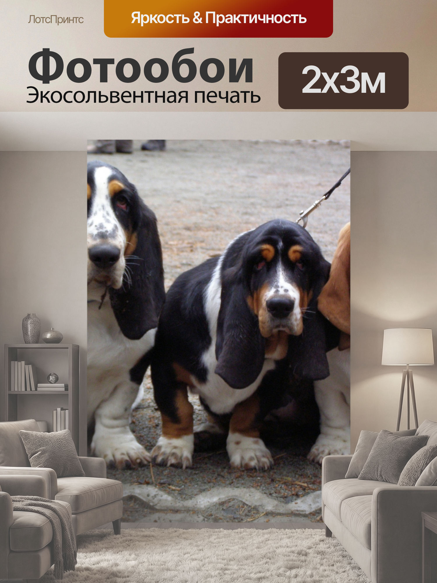 Фотообои "Собаки Собаки бассет-хаунды бассет гончая собака собачий млекопитающее животное породистый всеобщее достояние обои стену фон лояльный." 200x300 см. экосольвентная печать