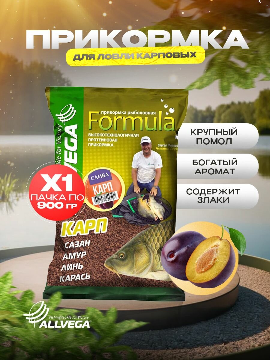 Прикормка для рыбалки ALLVEGA Formula Карп Слива 1 пачка 0.9кг
