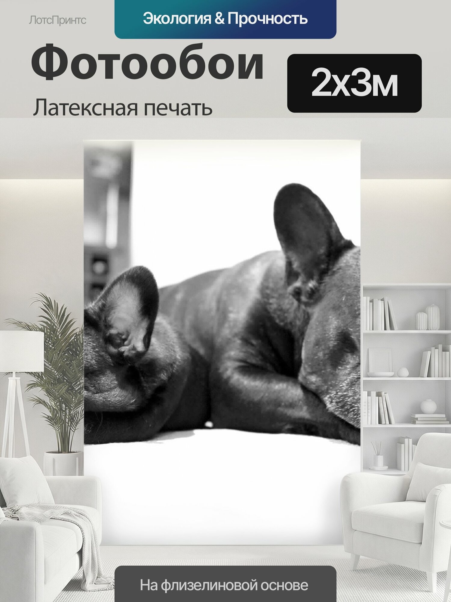 Фотообои моющиеся ударопрочные "Собака, собаки, бульдог" 200x300 см. латексная печать