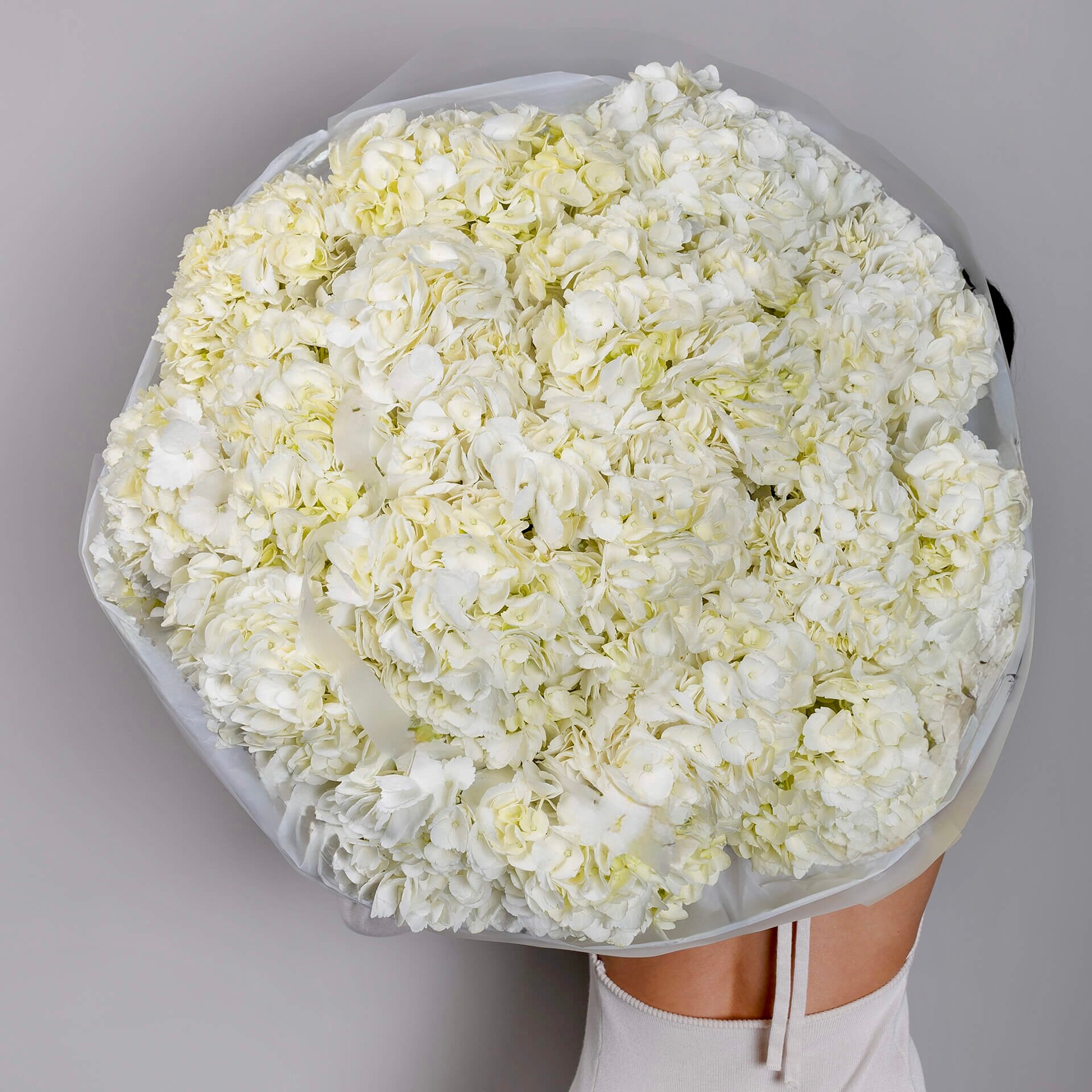 Монобукет "Гортензии Колумбия", белые, 17шт, в упаковке с лентами