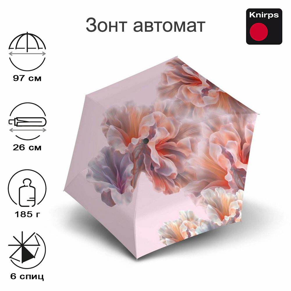 Зонты