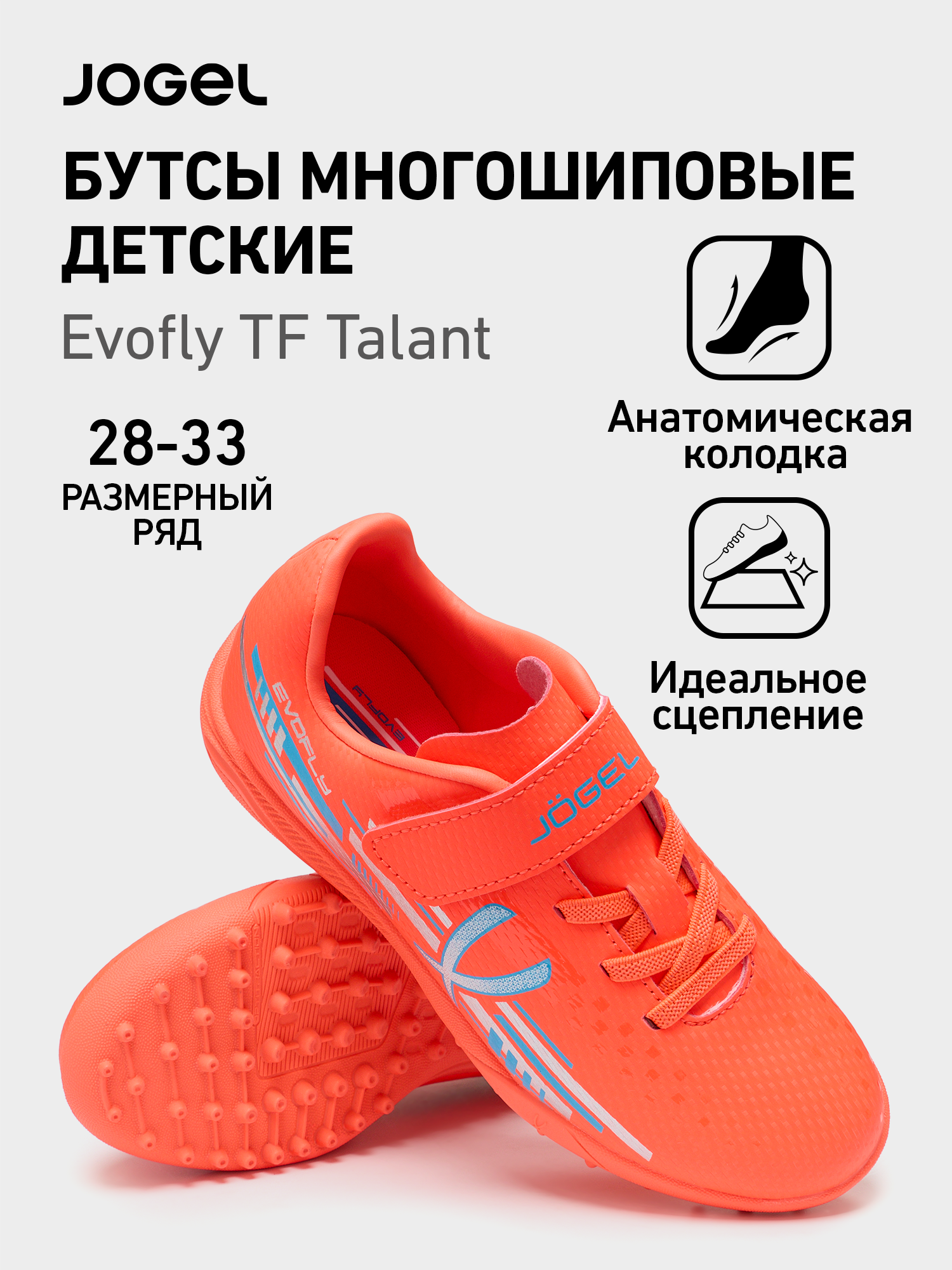 Сороконожки