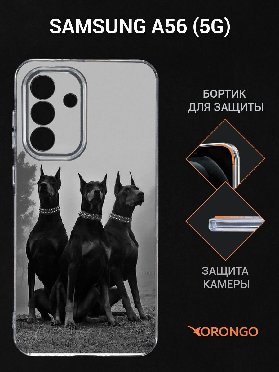 Чехол на Samsung A56 5G (A566) прозрачный с рисунком, с защитой камеры, с принтом доберманы / Самсунг Галакси А56 А566