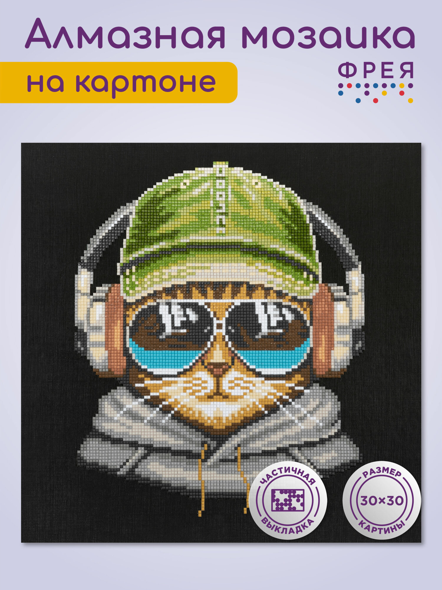 Алмазная (кристальная) мозаика постер "фрея" ALBP-310 "Кот- меломан" 30х30 см
