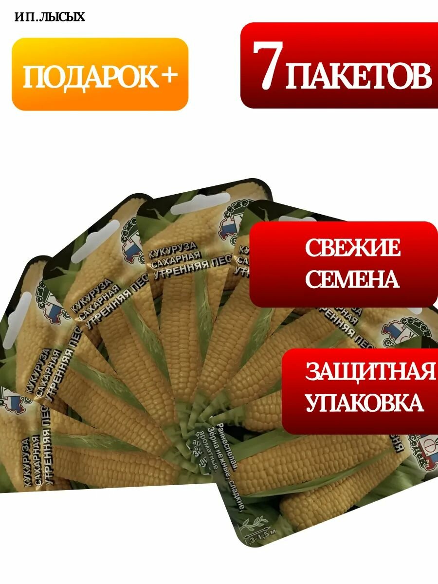 Семена Кукуруза "Утренняя песня"
