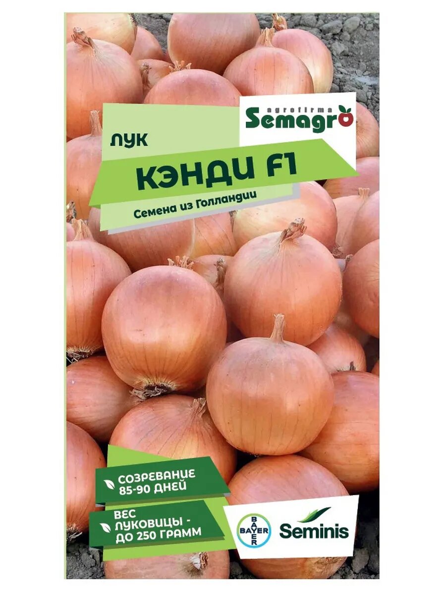 Семена овощей Seminis лук репчатый Кэнди F1