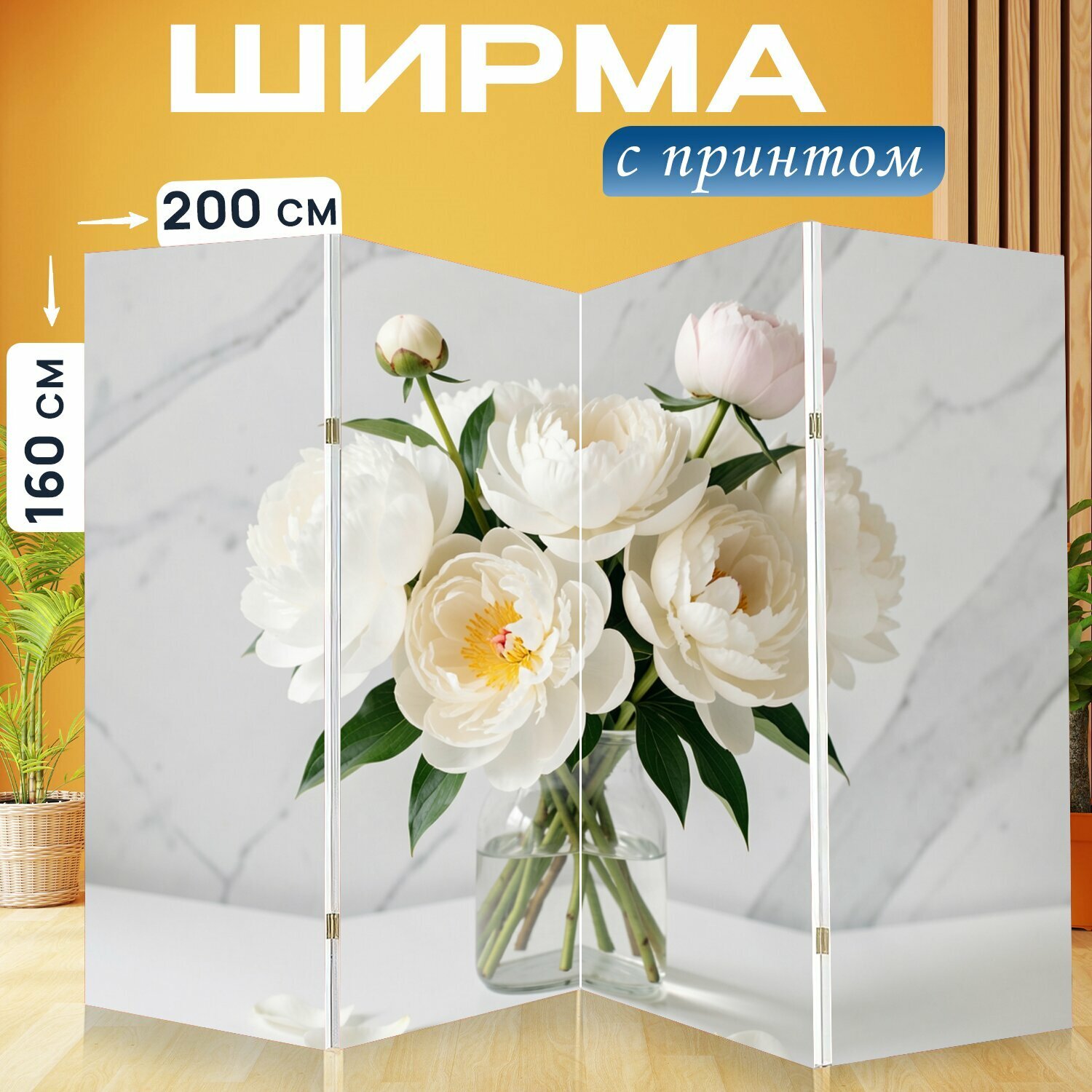 Ширма "Белые пионы в вазе. Нежный букет кремовых и молочных цветов в стеклянном сосуде на светлом мраморном." перегородка для зонирования комнаты с принтом 200x160 см. на холсте
