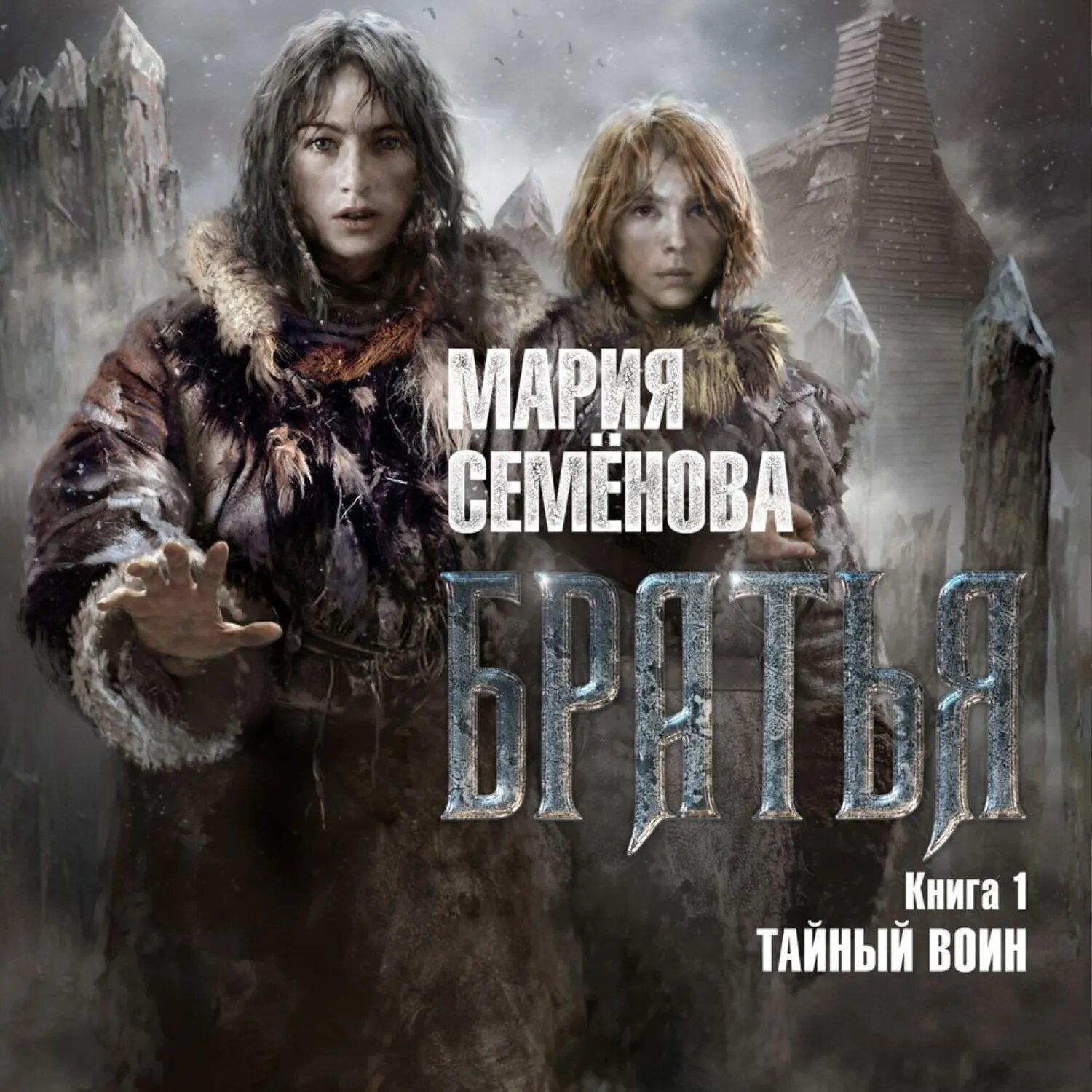 Братья. Книга 1. Тайный воин [Аудиокнига]