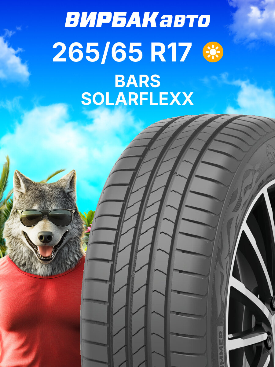 Летние шины BARS SOLARFLEXX 265/65 R17 112H