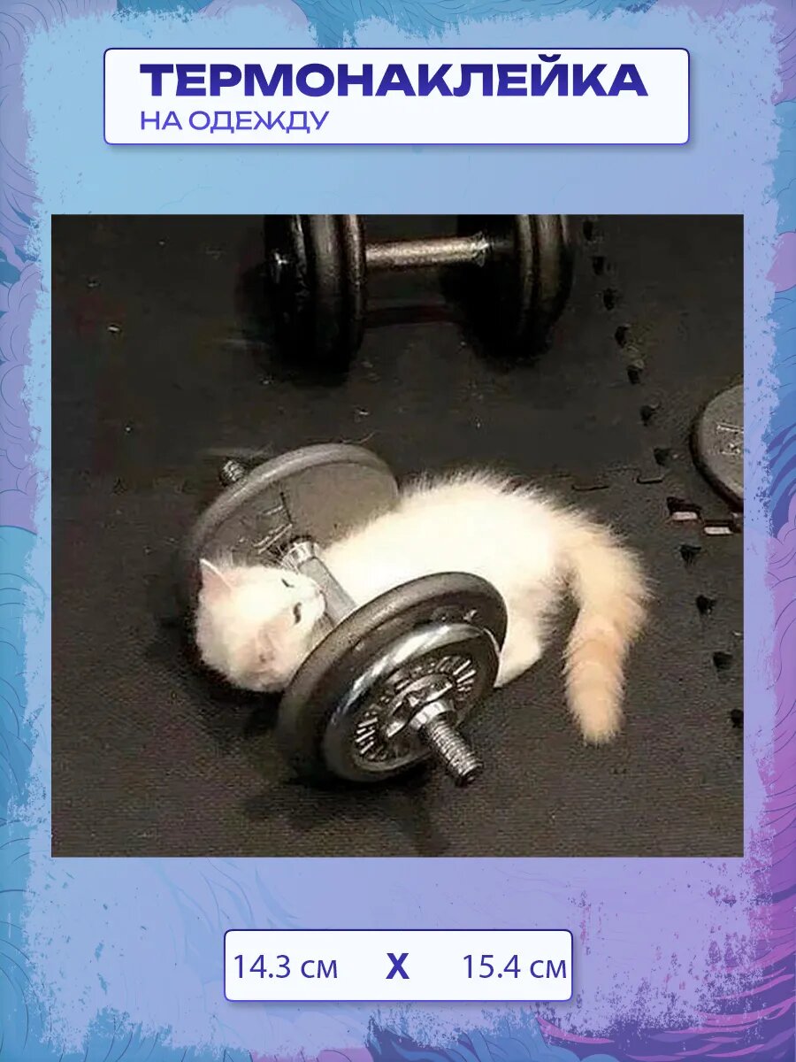 Термонаклейка meme cat