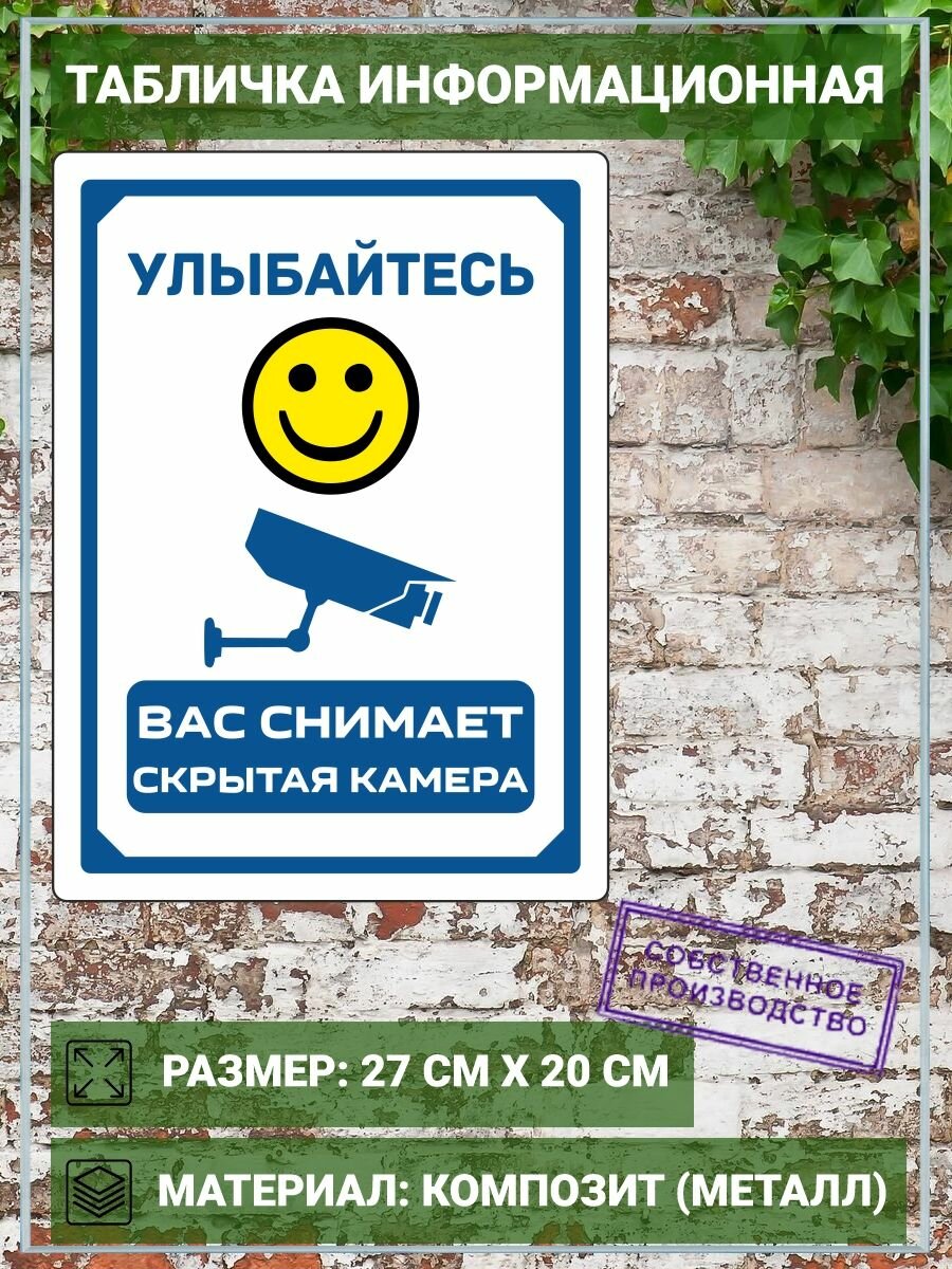 Табличка информационная Внимание Ведется видеонаблюдение №012