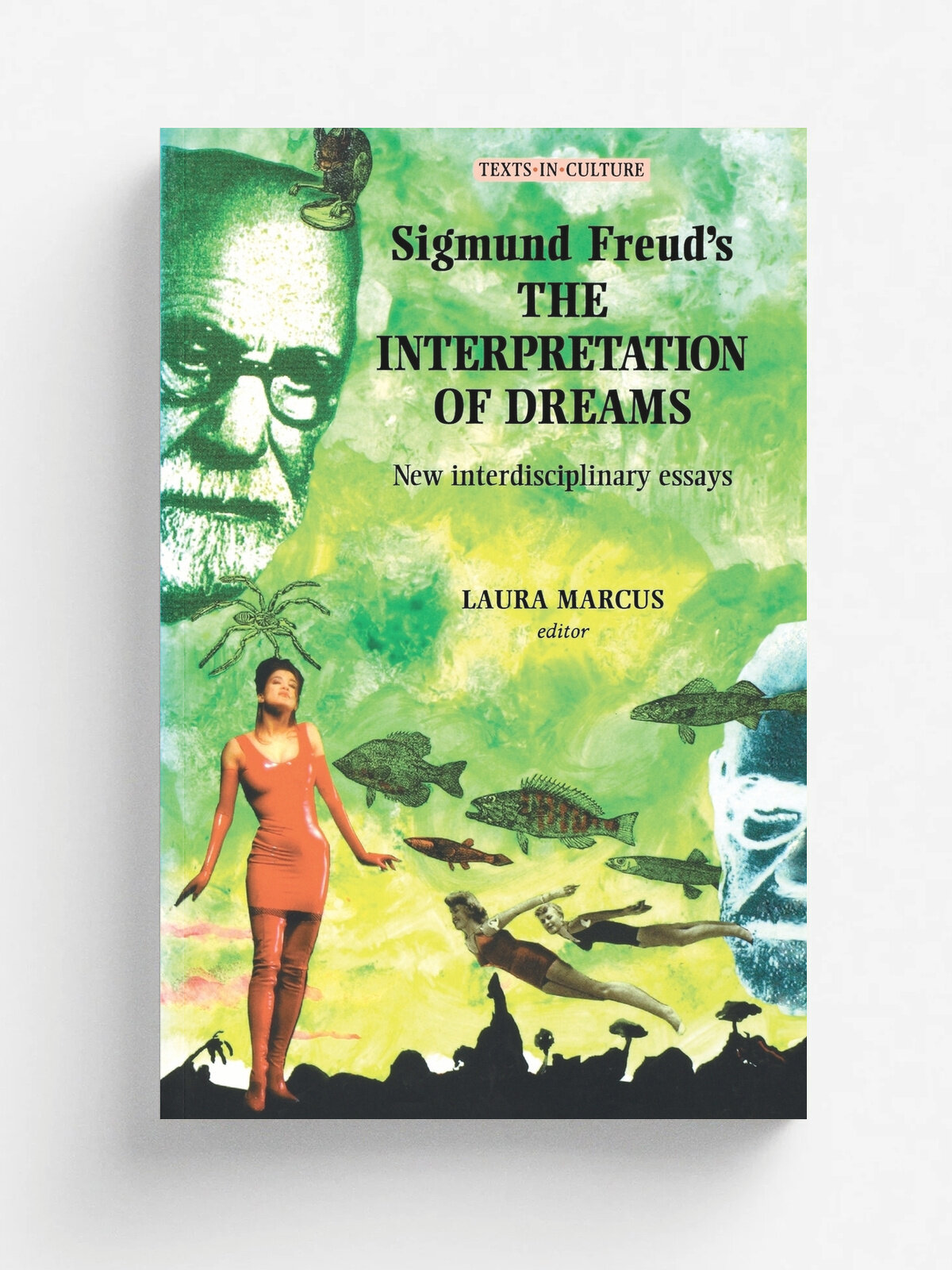 Sigmund Freud's the Interpretation of Dreams