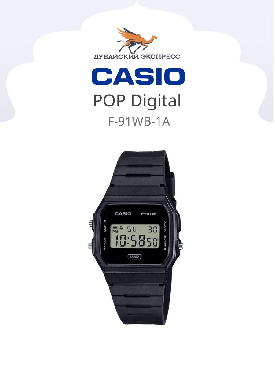  CASIO