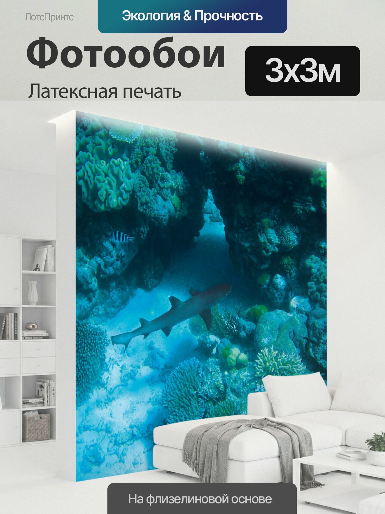 Фотообои моющиеся ударопрочные "Акула, подводный, нырять" 300x300 см. латексная печать