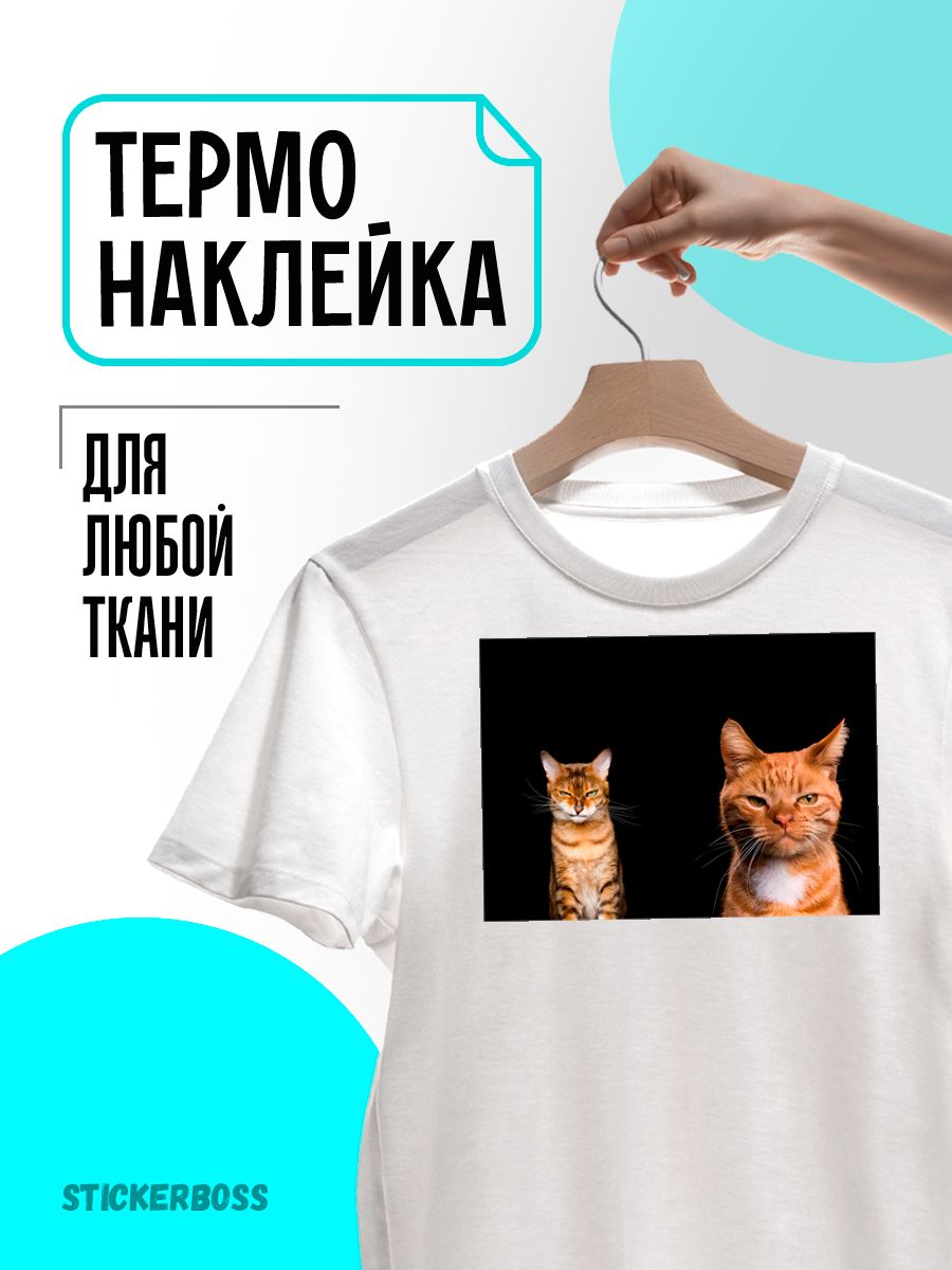 Термонаклейка термотрансфер на одежду кот