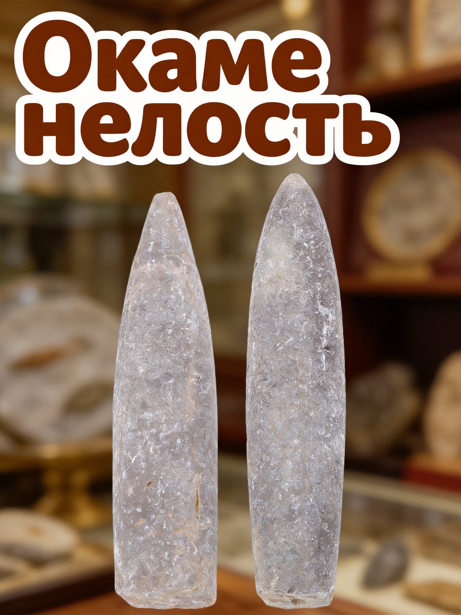 2 Штуки Натуральные Образцы Белемнита для Обучения и Декора Геологических Любителей 6.00X1.50X1.50Cm