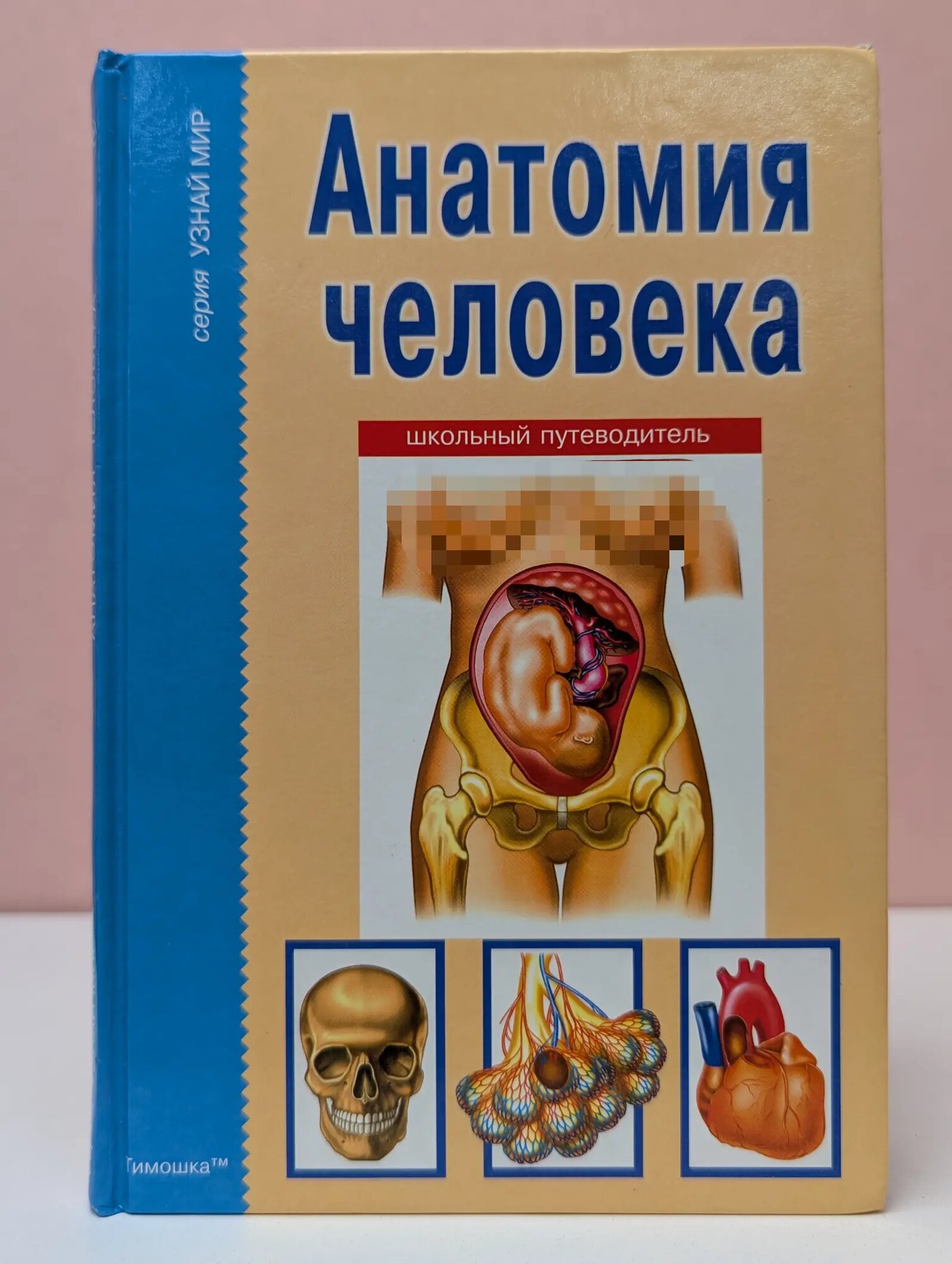 Узнай мир. Анатомия человека Афонькин Сергей Юрьевич 2005