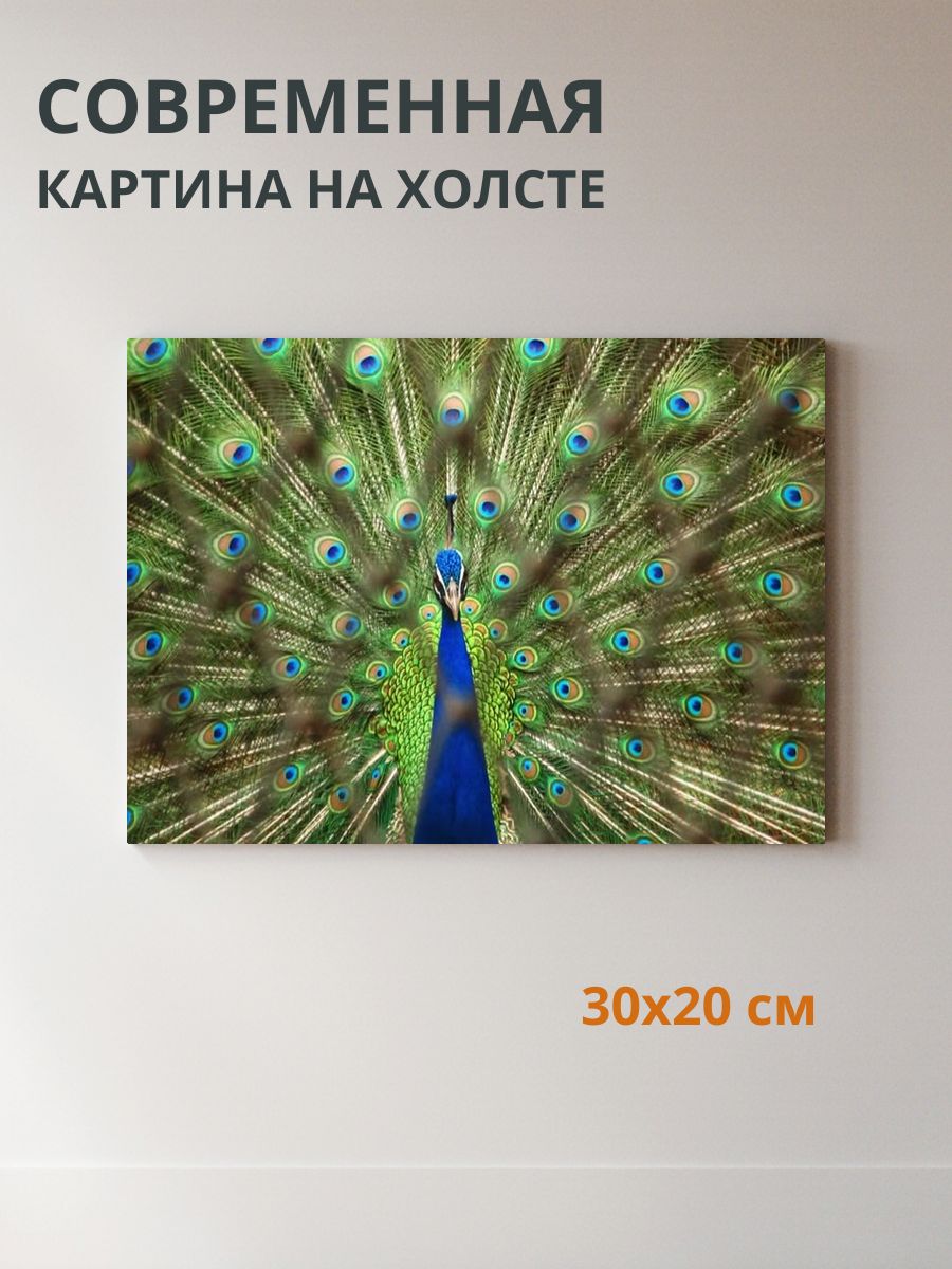 Картина на холсте Павлин 30x20 см