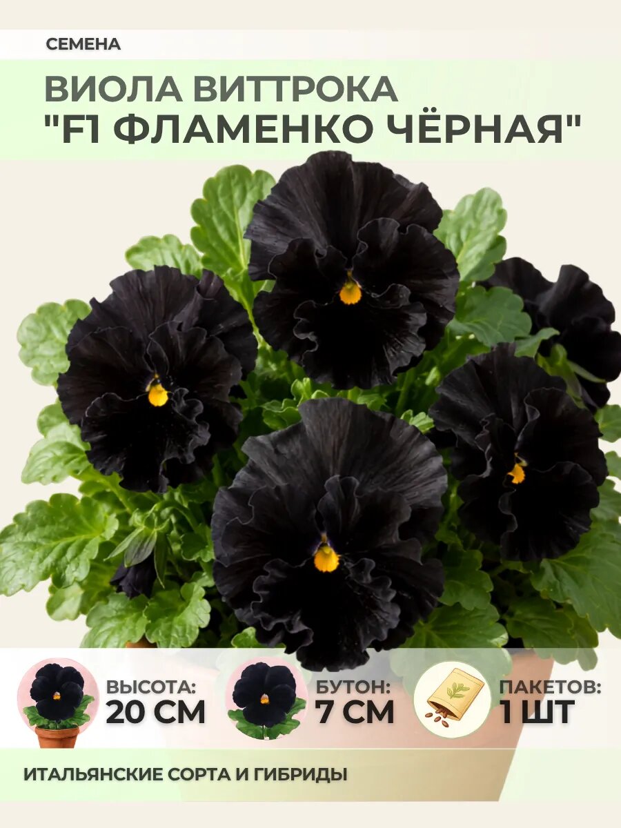 Виола "Фламенко Чёрная" F1, махровые бархатистые цветки, глубокий фиолетово-чёрный оттенок, 1 упаковка, 7 шт. семян.