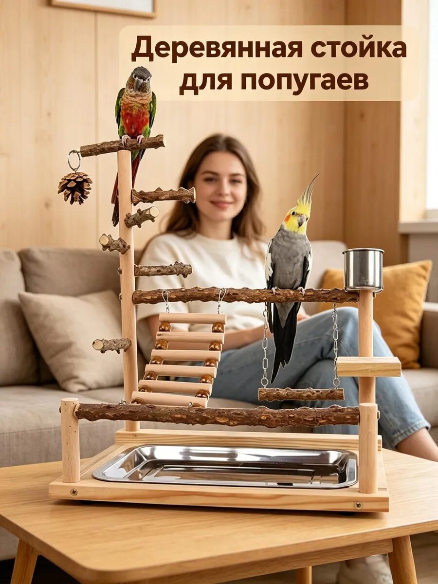 Стенд Для Попугая