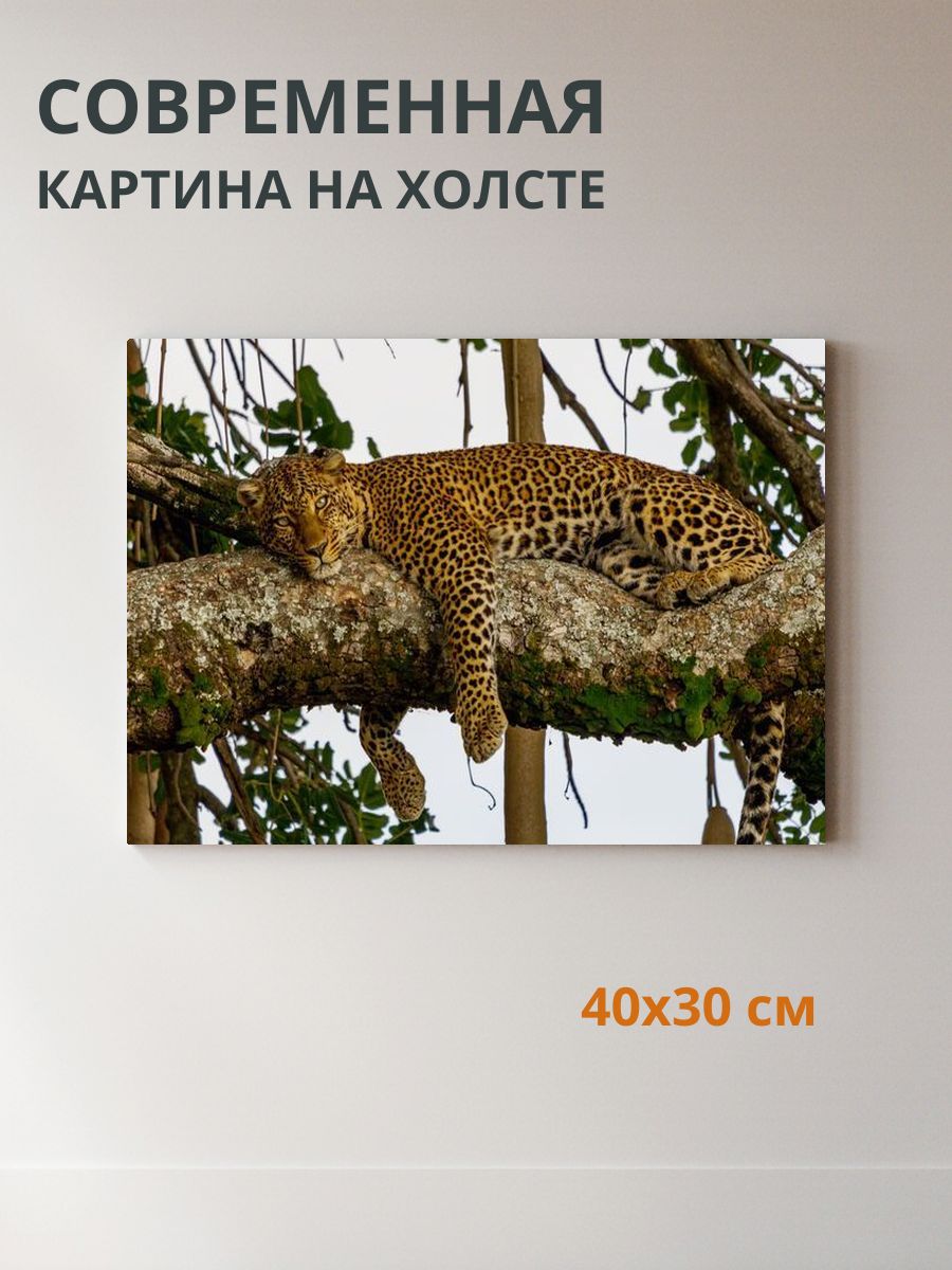 Картина на холсте Леопард 40x30 см