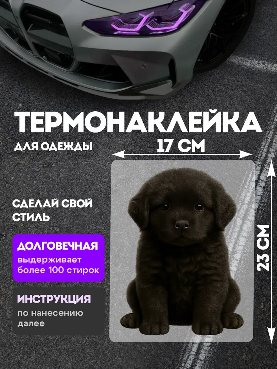 Термонаклейка на одежду Ньюфаундленд собаки