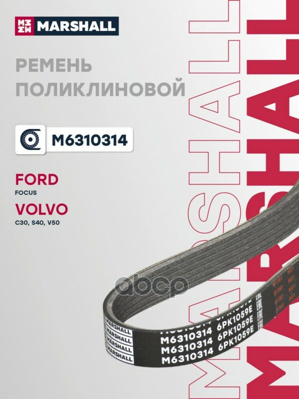 Ремень поликлиновой MARSHALL арт. M6310314