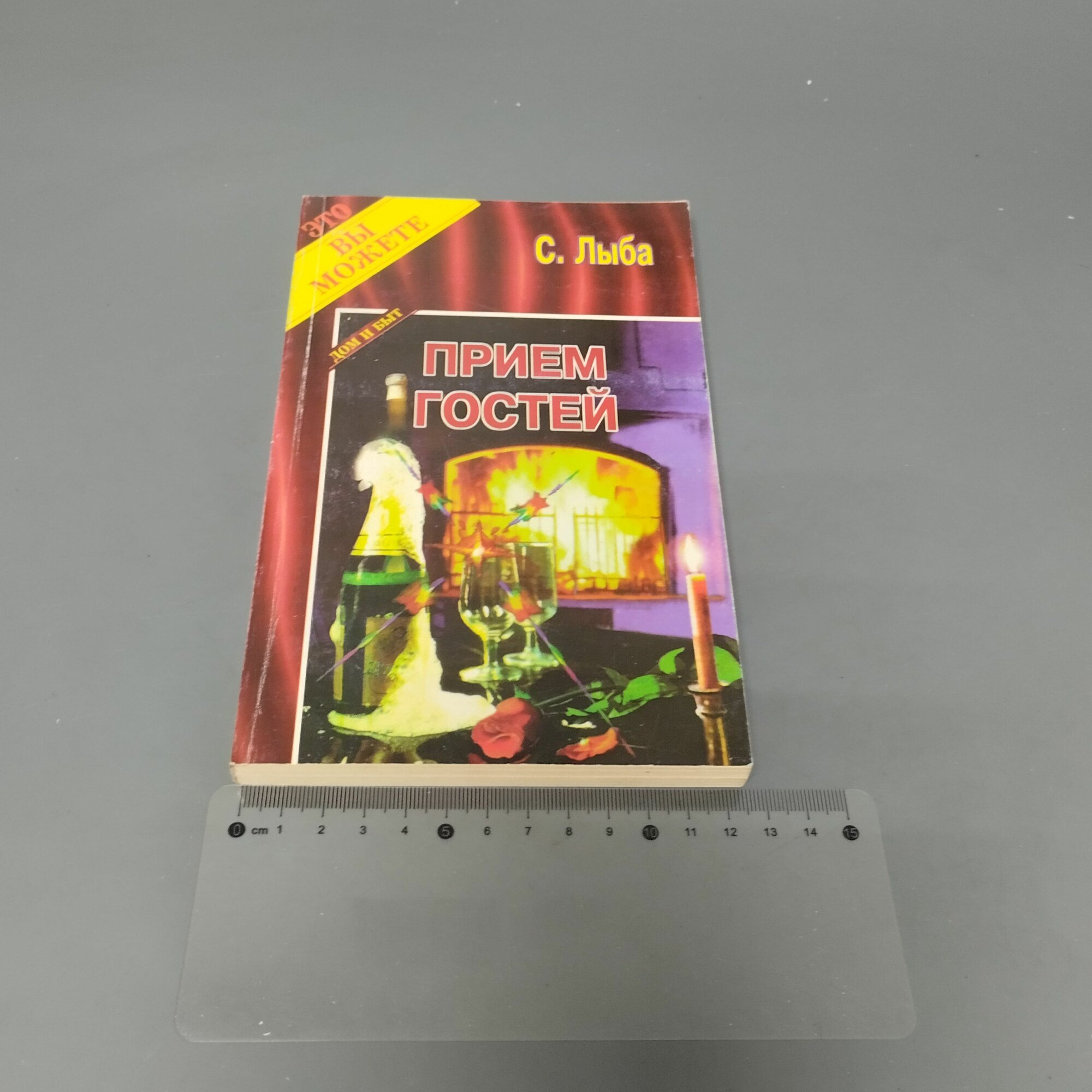 Прием гостей. Лыба Сергей Иванович. 1996