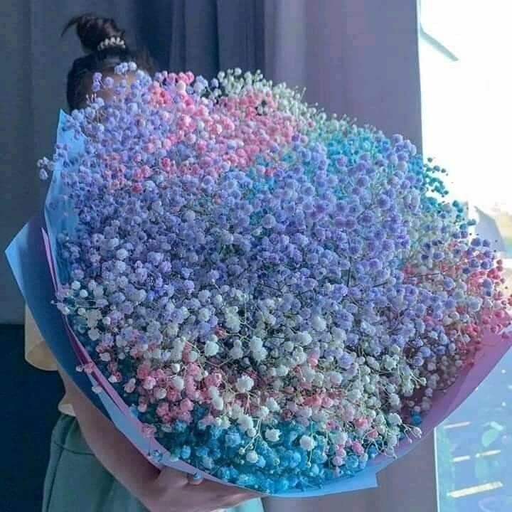 Большой монобукет "Гипсофилы", в стильной упаковке, для любимой, учителя, мамы