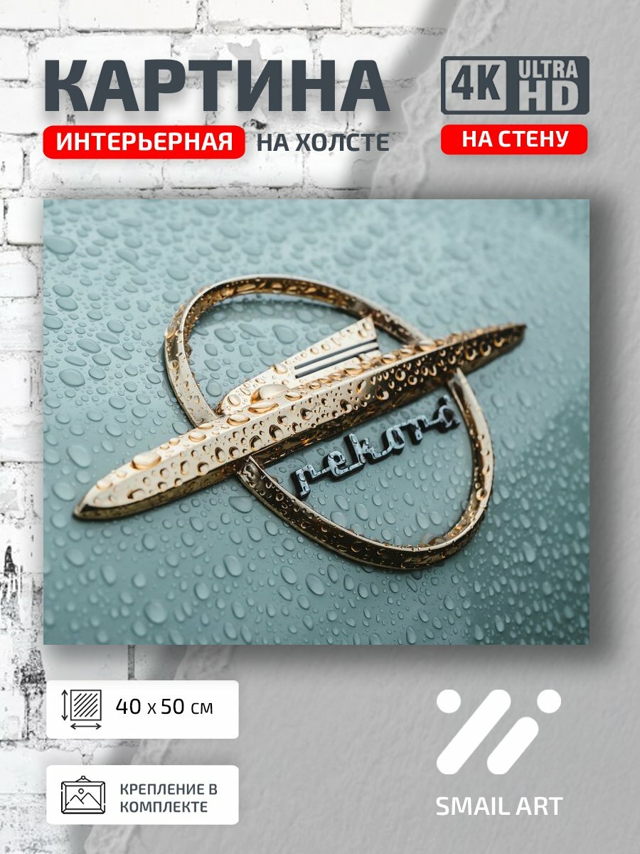 Картина на холсте интерьерная 40 на 50 на стену Значок rekord для киномана авто дизайн