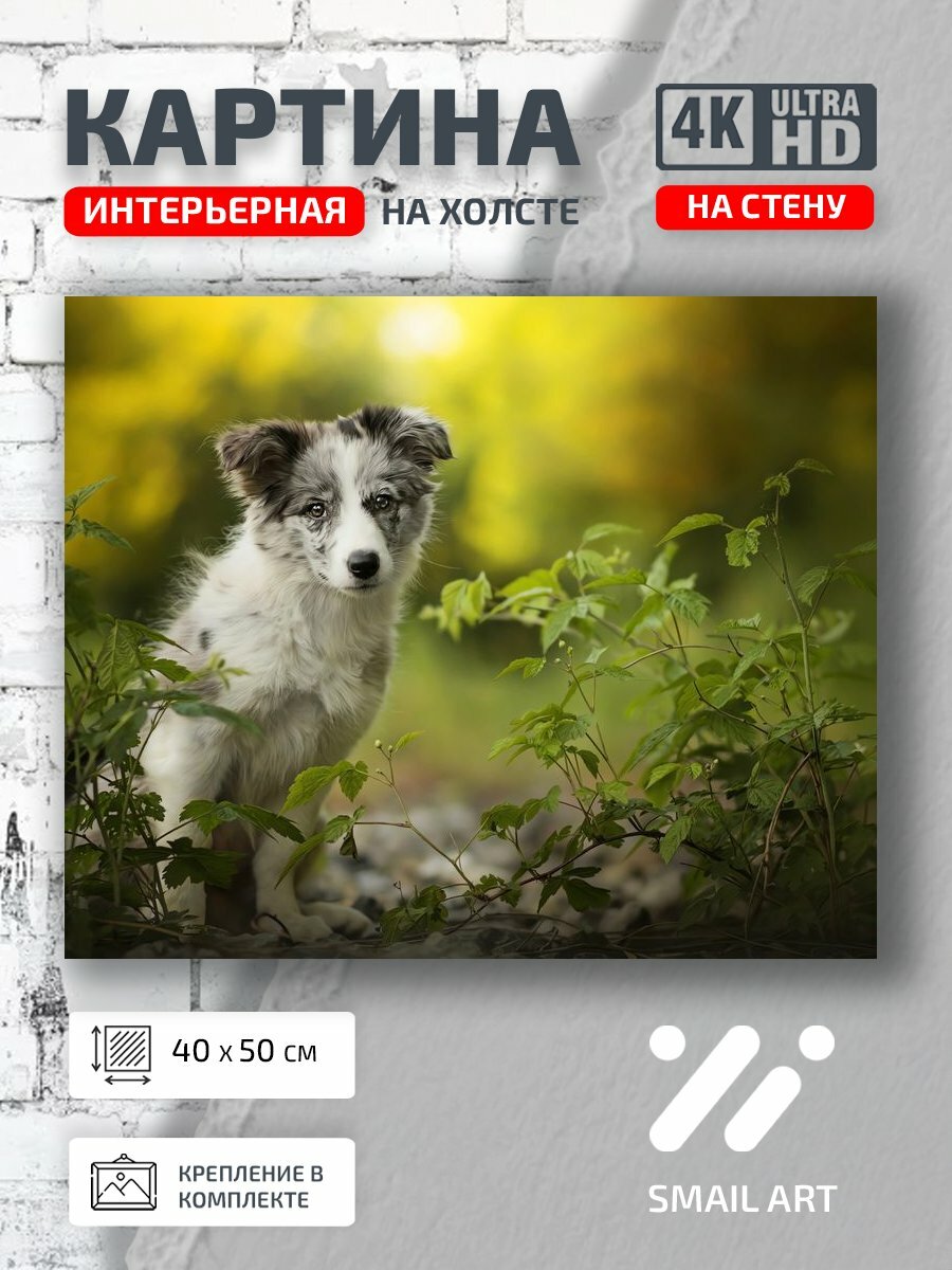 Картина на холсте интерьерная 40 на 50 на стену Черно-белый Mood для офиса атмосфера декор
