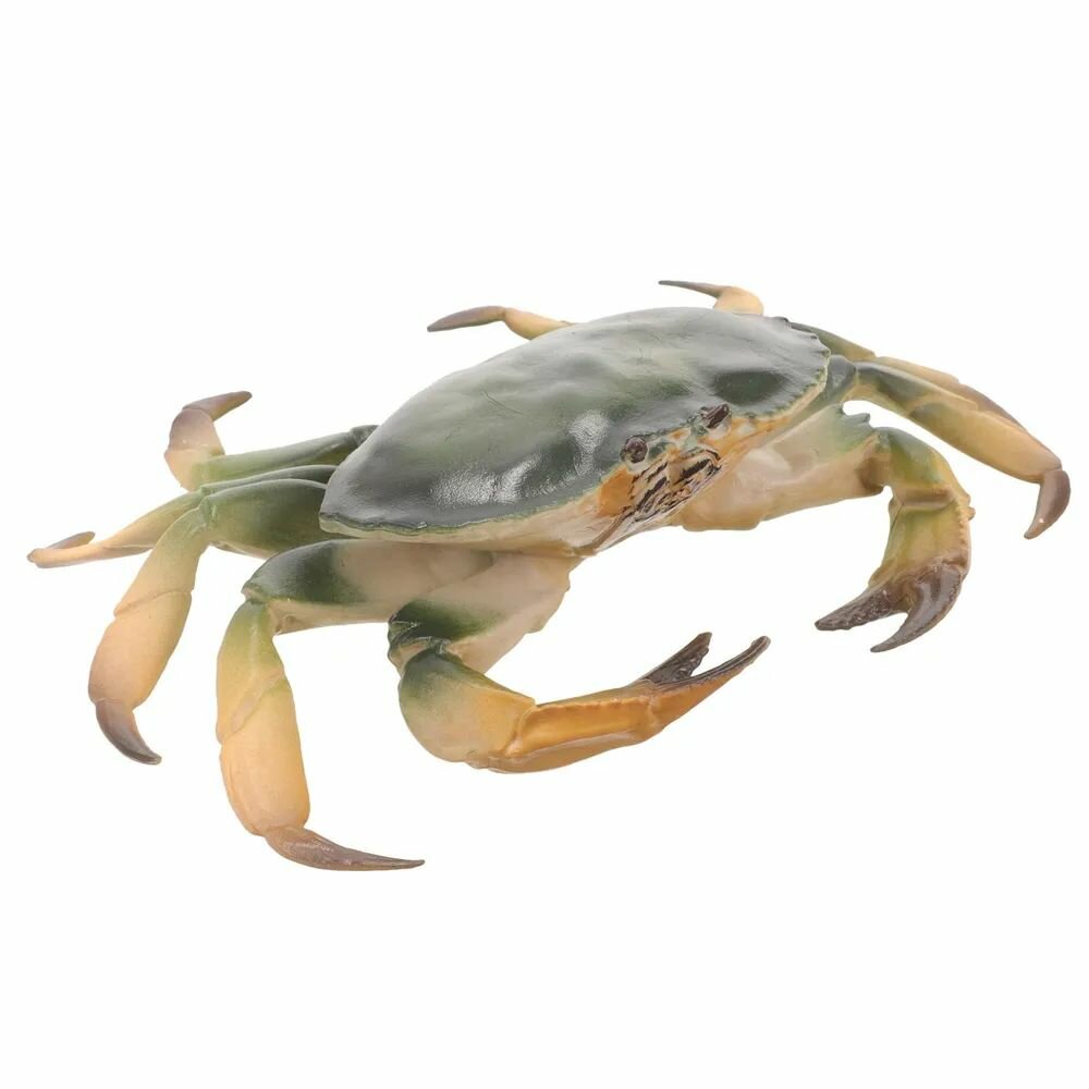 Реалистичная Модель Краба Для Аквариума Образовательная Игрушка Из Пвх Размер 17.00X13.00X3.00См 1Набор
