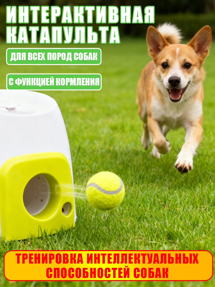 Катапульта мячей для собак интерактивная OZBERRY с 3 мячами