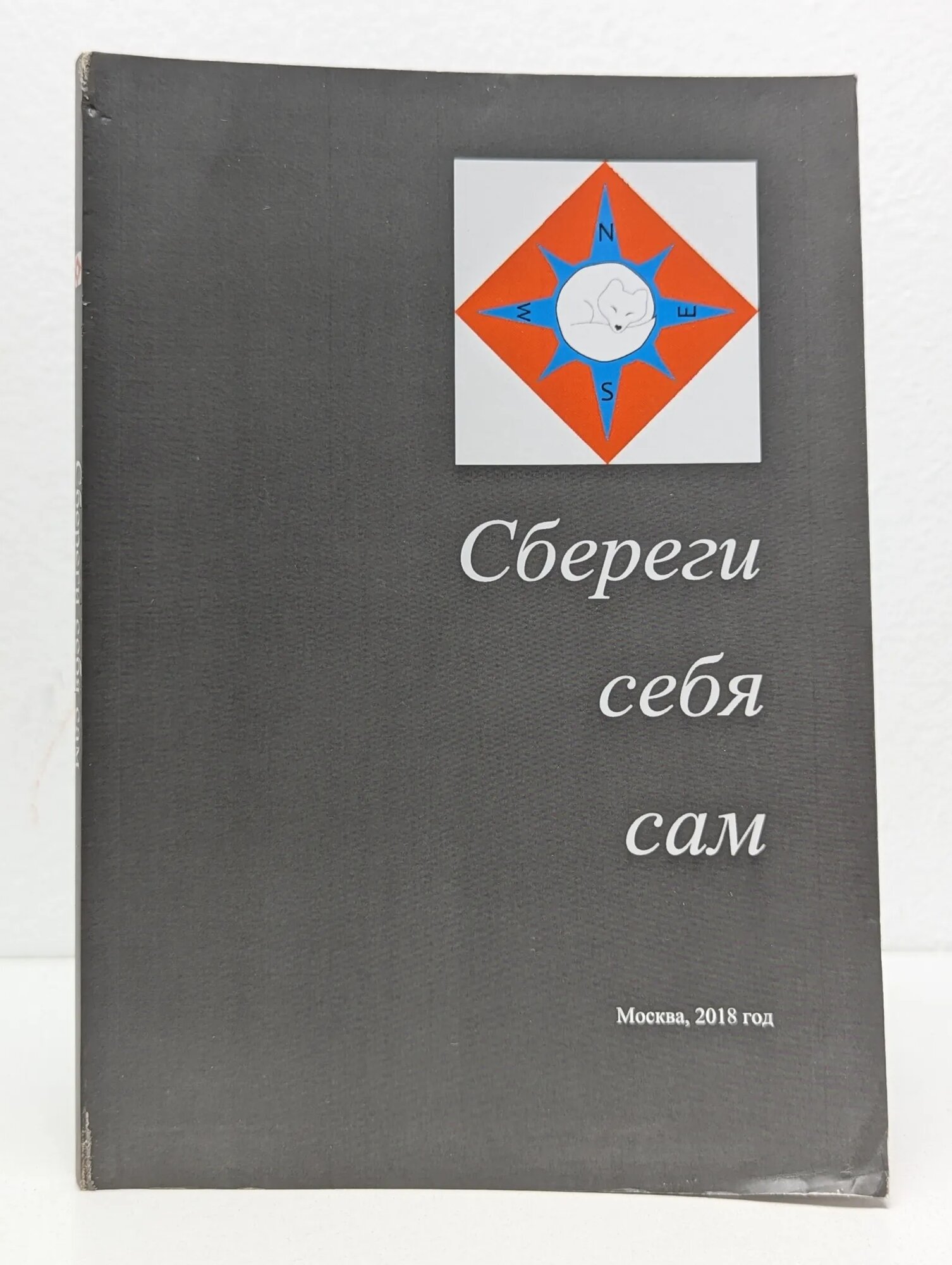 Сбереги себя сам Холмогоров Александр Васильевич, Силенко Виктория Владимировна, Илюхин Павел Николаевич, Елисеенко Александр Сергеевич 2018
