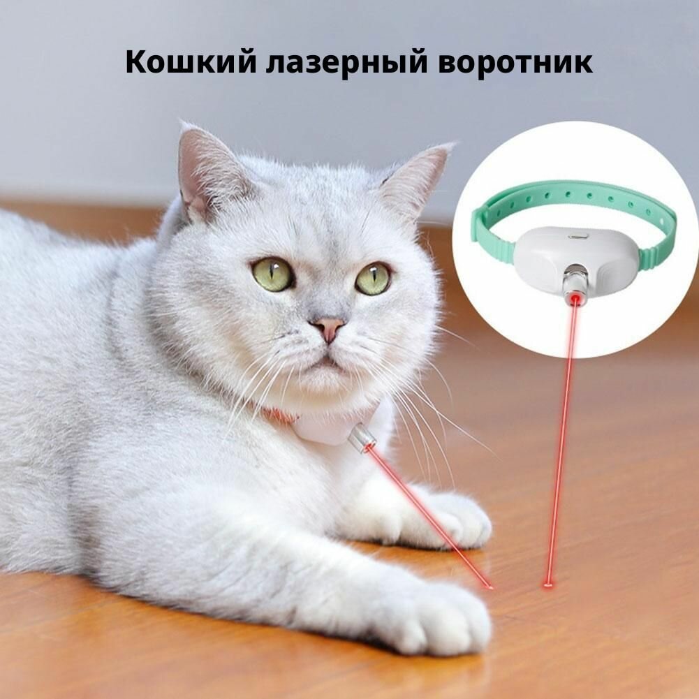 Автоматический ошейник-игрушка для кошек