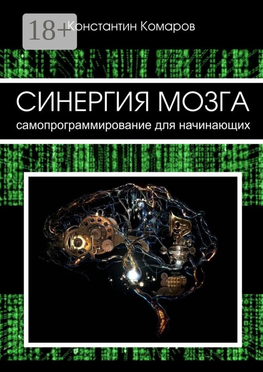 Синергия мозга. Самопрограммирование для начинающих [Цифровая книга]