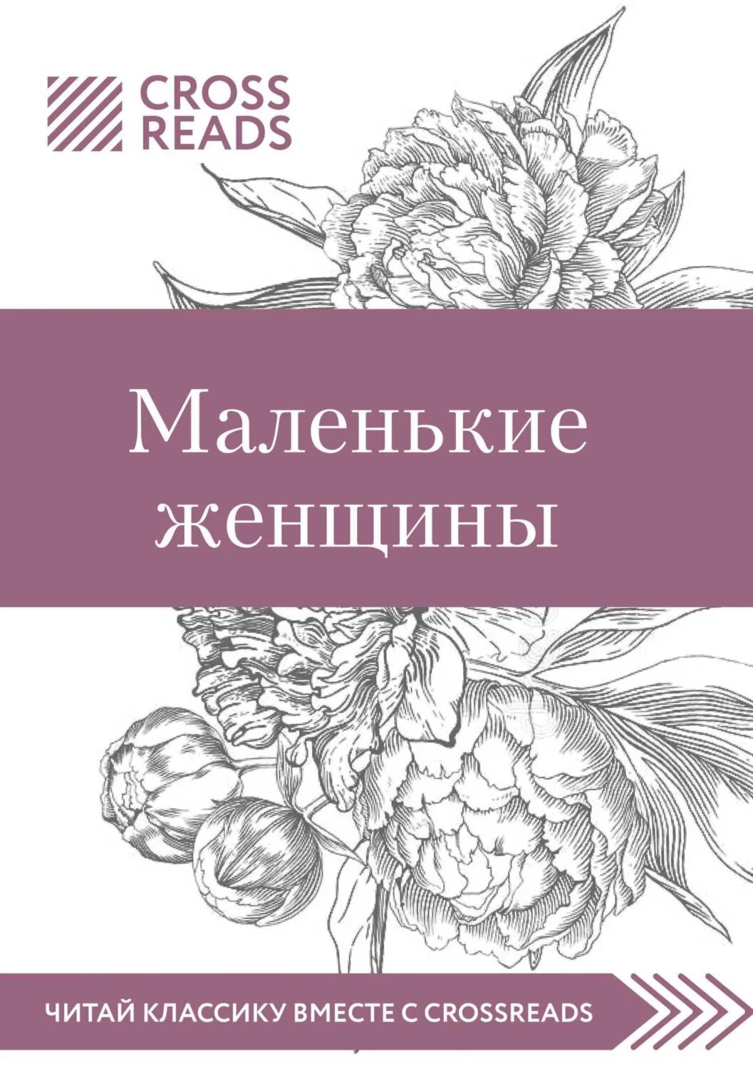 Саммари книги «Маленькие женщины» [Цифровая книга]