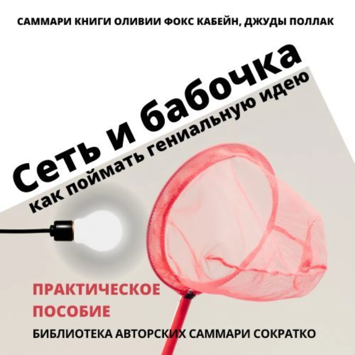 Саммари книги Оливии Фокс Кабейн, Джуды Поллак «Сеть и бабочка. Как поймать гениальную идею» [Аудиокнига]