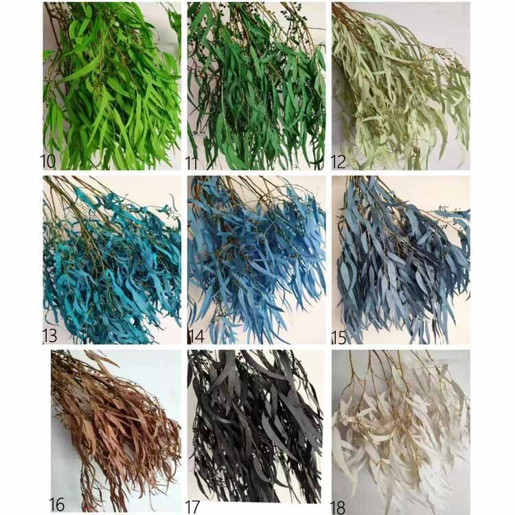 Вечный цветок Xiaomi, фруктовый лист, лист ивы, лист эвкалипта, медная монета, лист эвкалипта, домашний декор, производитель из Юньнани, оптовая продажа