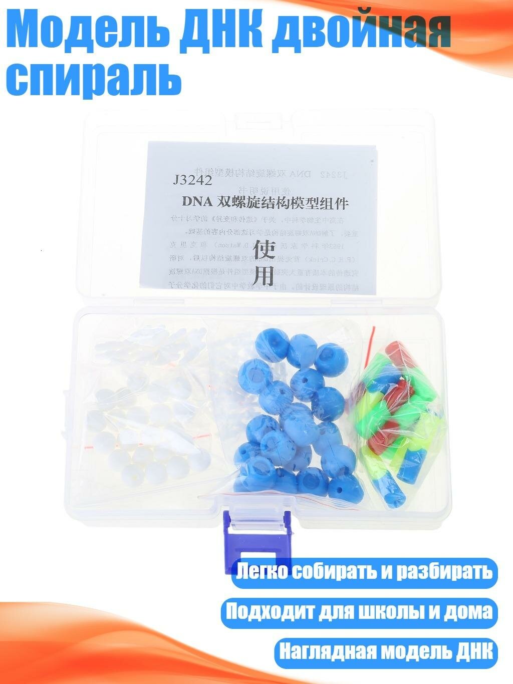 Модель ДНК двойная спираль