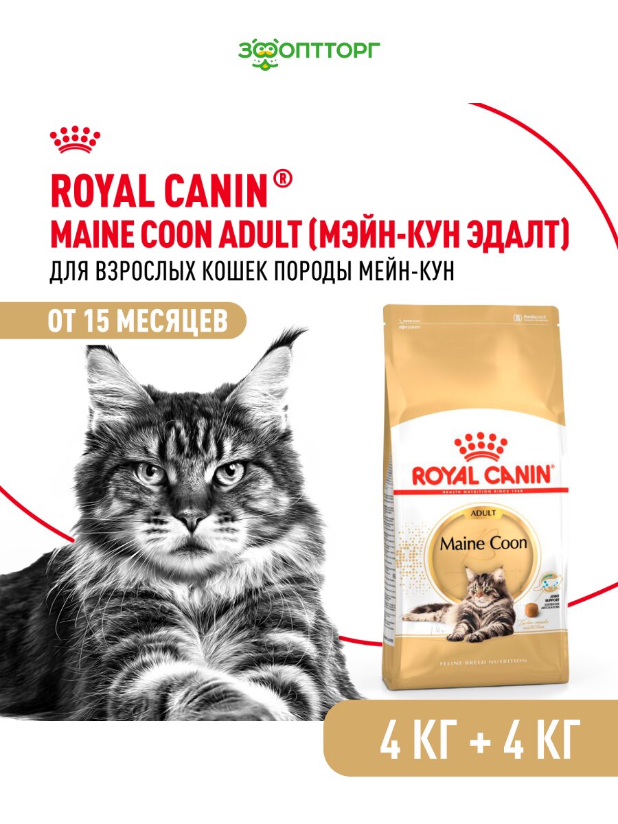 Сухой корм Royal Canin Maine Coon Adult для кошек породы мейн-кун Птица, 4 кг х 2 шт.