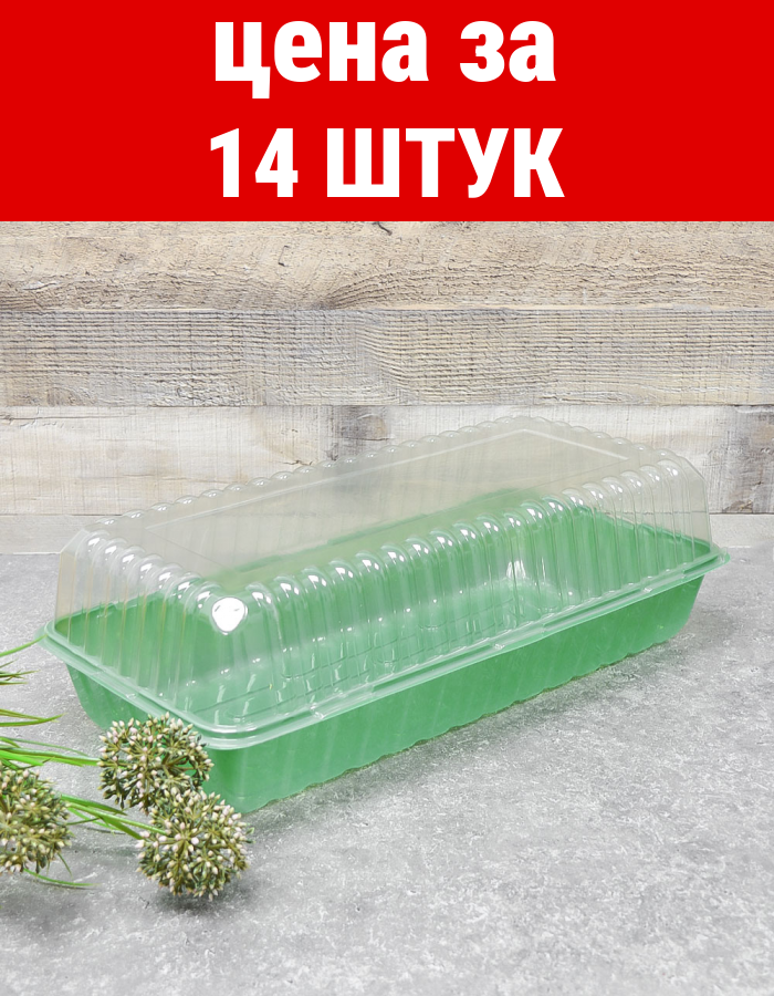 Комплект 14 шт, Парник для рассады 3 места, 44*22*6.5см (ВЗ*300, ДЗ*150)