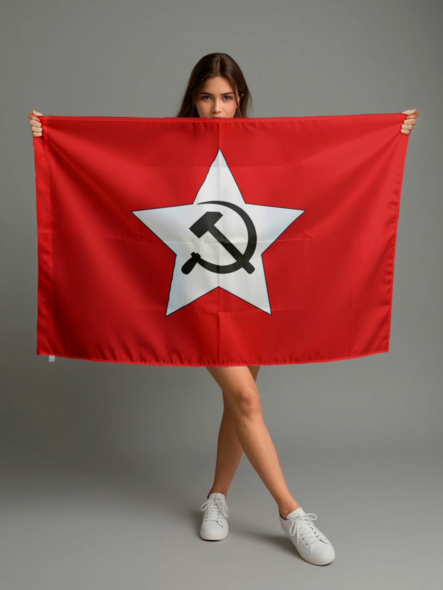 Флаг Евразии из 1984 Оруэлла, 70х105 см на шёлке для ручного древка