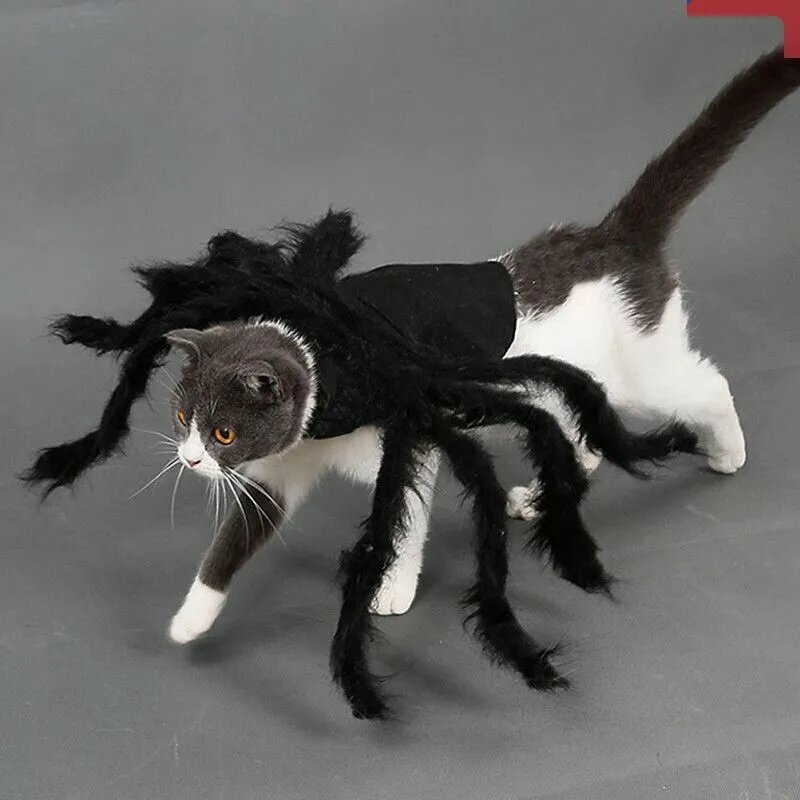 Ужасная креативная толстовка в стиле паука с капюшоном для домашних животных, имитация плюшевого костюма, забавная одежда для косплея на Хэллоуин для щенка, котенка (размер S)