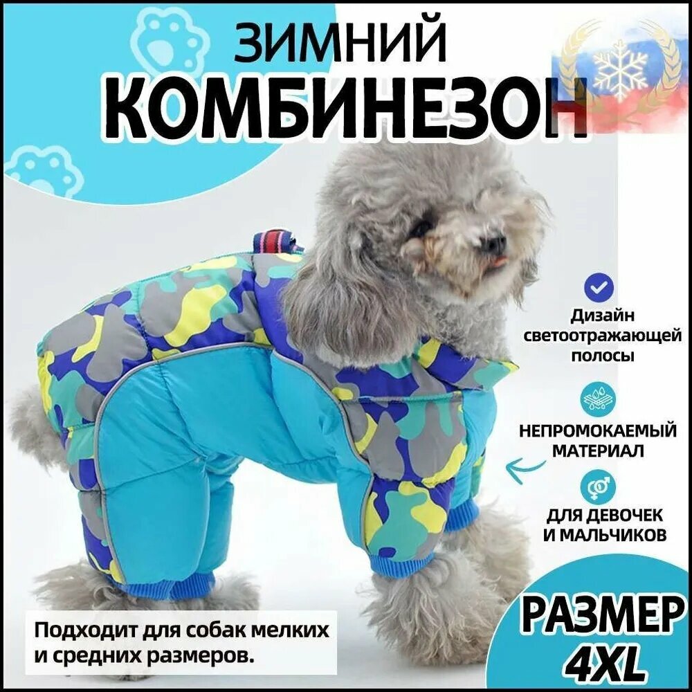 Одежда для животных