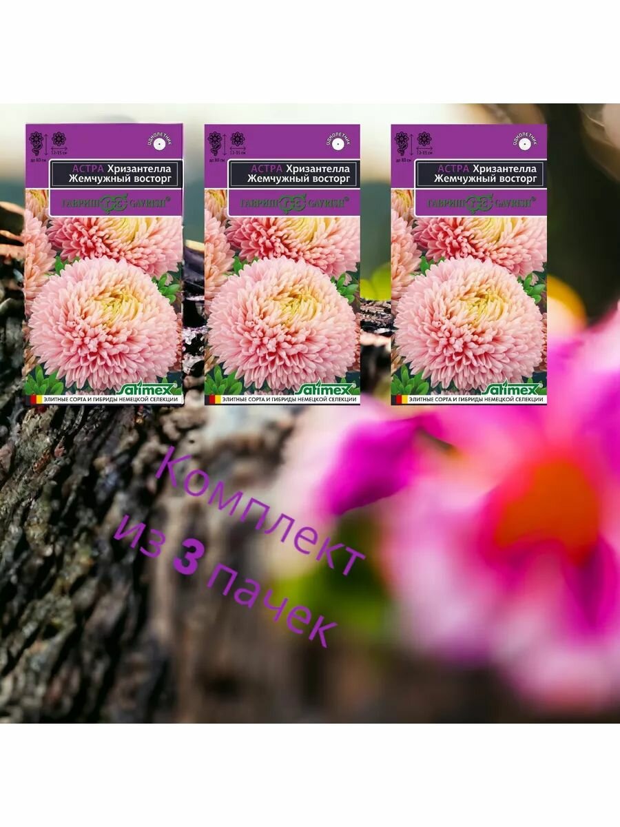 Астра Хризантелла Жемчужный восторг цв. п 0,05г (комплект из 3 пачек) Гавриш